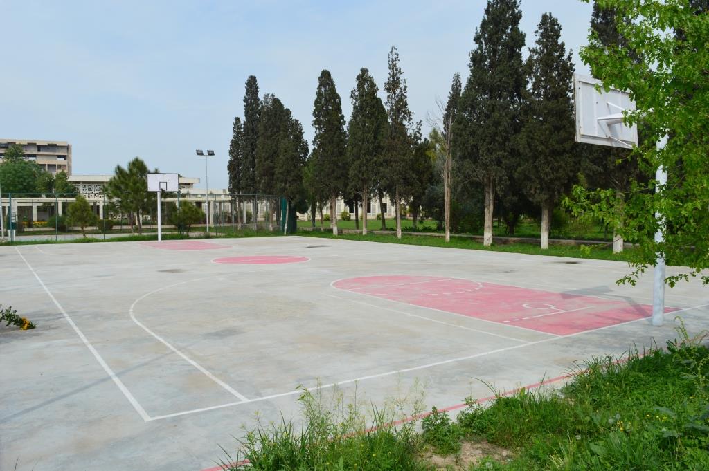 National Institute of Public Administration (NIPA)